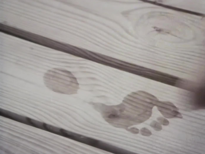 PACIFIC DE RICARD / PERNOD RICARD : PASTIS SANS ALCOOL | INA