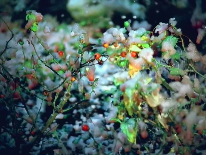 Orange : Aube version 14 secondes | INA