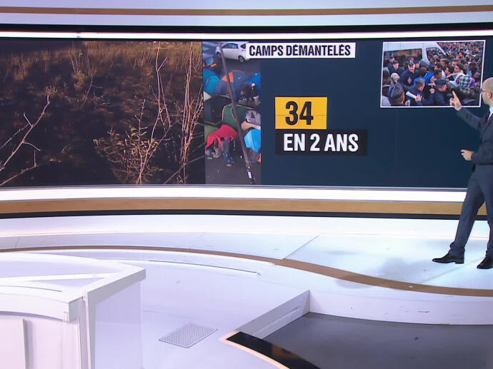 Plateau analyse : où vivent les migrants en France | INA