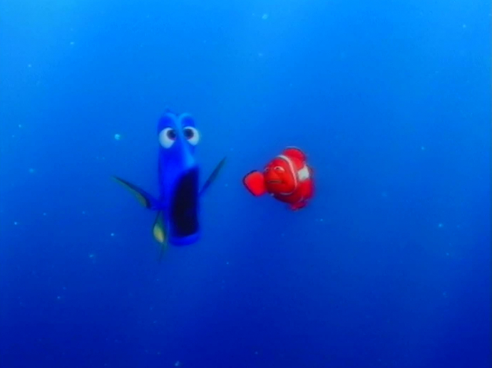 Le monde de Némo : Habillage seagalle | INA