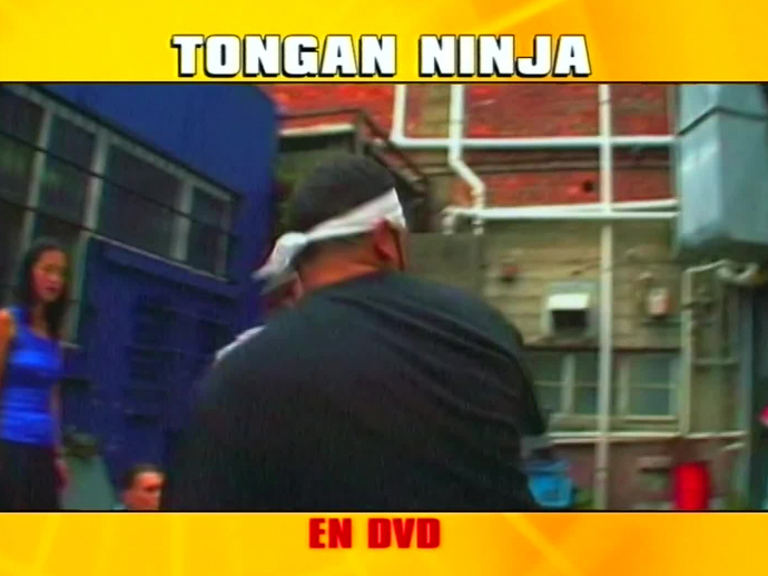 Tongan ninja classique | INA