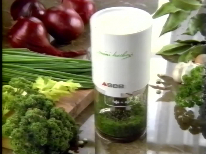 SEB : MINI HACHOIR | INA