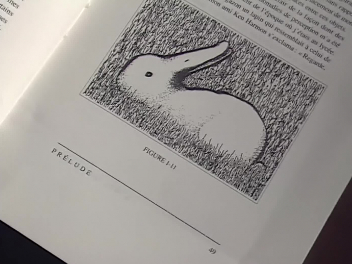 Roger N. Shepard : L'oeil qui pense | INA