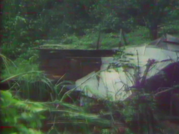 Le cyclone David passe sur l'île de la Dominique | INA