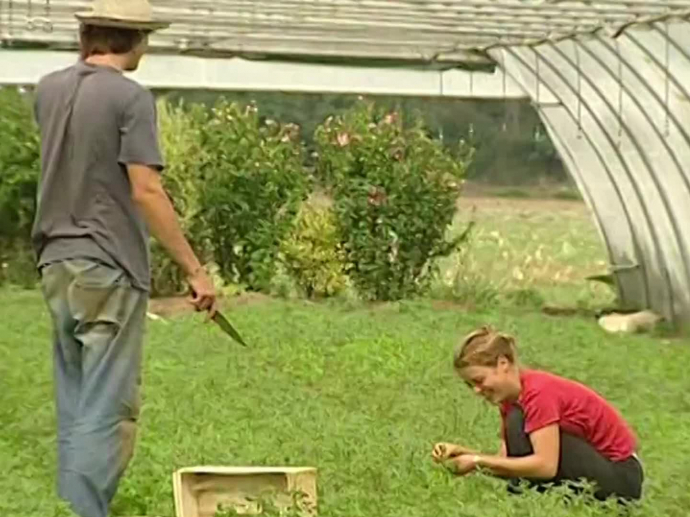 2001 : les débuts des AMAP en France | INA