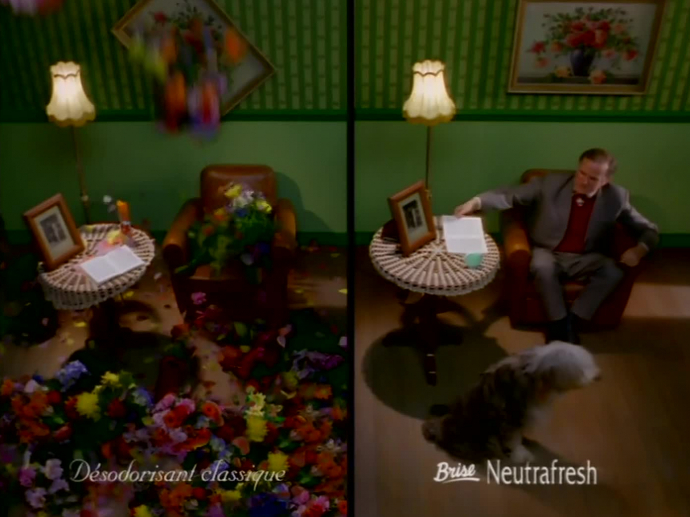 Neutrafresh : Le chien mouillé | INA