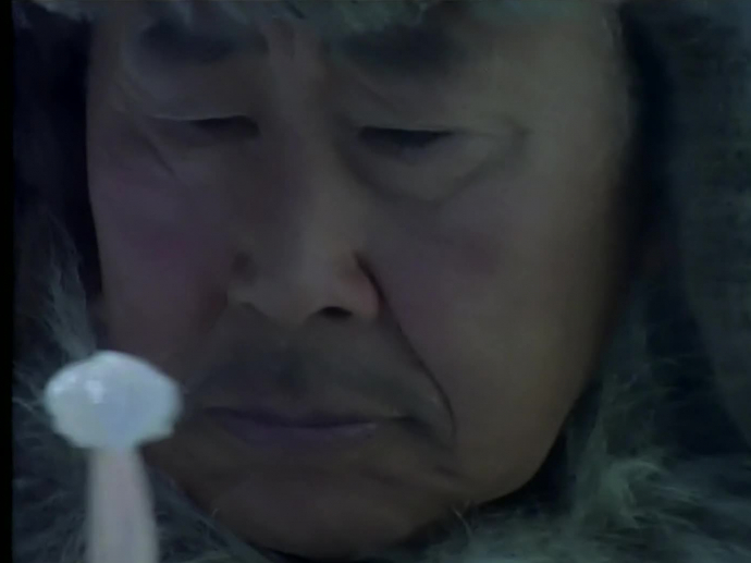 Captain Iglo : Filet Iglo/poisson nature | INA