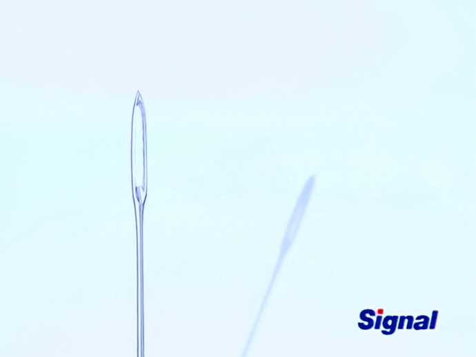 Signal micro granulé : Teaser avec logo | INA