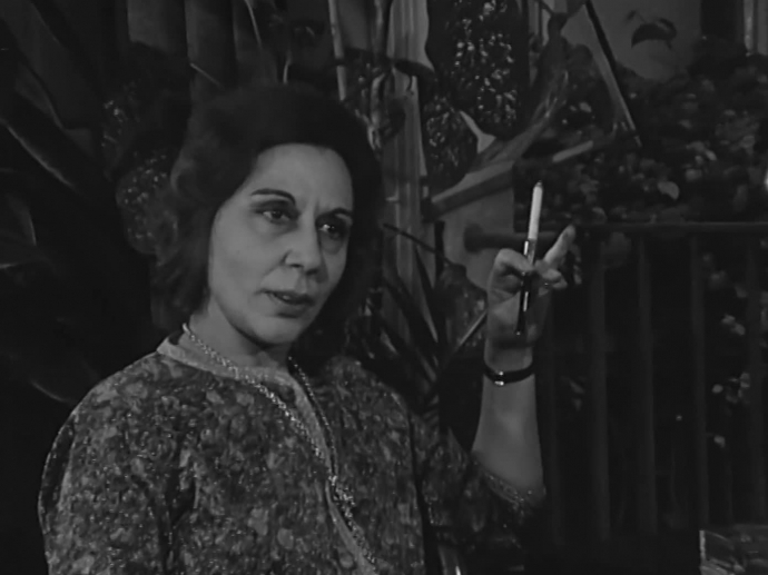 Alice Sapritch à propos de sa carrière à la télévision | INA