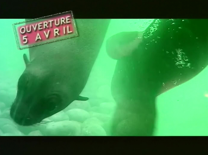 Paradisio : Version a | INA