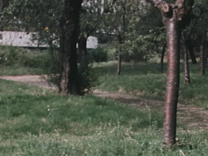 Vivre en fleurs | INA