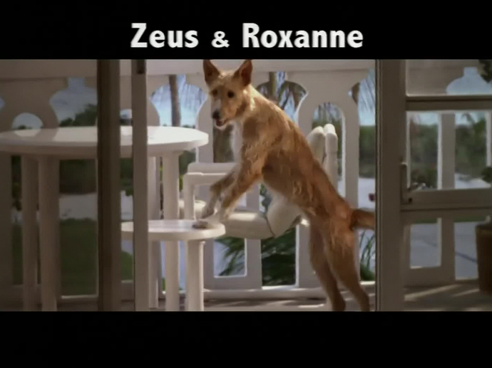 Zeus et Roxanne : version 11 secondes | INA