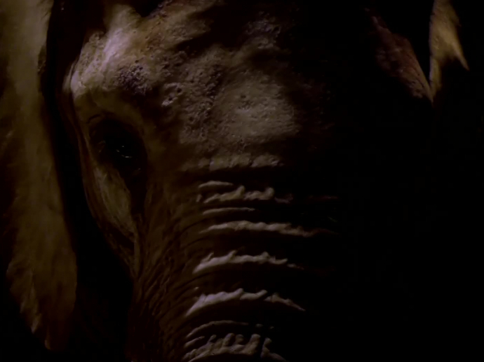 Schweppes : Watering hole : version 15 secondes | INA