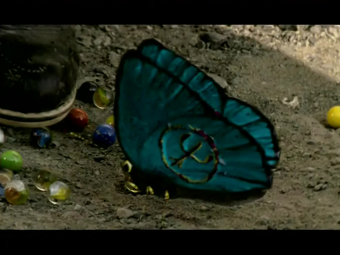 Deep Forest : Version 40 secondes | INA