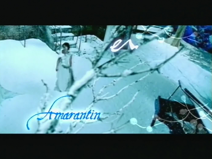 Enya : version 20 secondes | INA