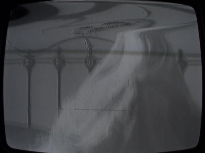 FLY TOX : Insecticide en plaquette | INA