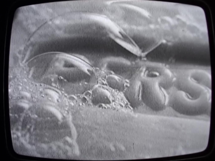 PERSAVON : savon mixte | INA