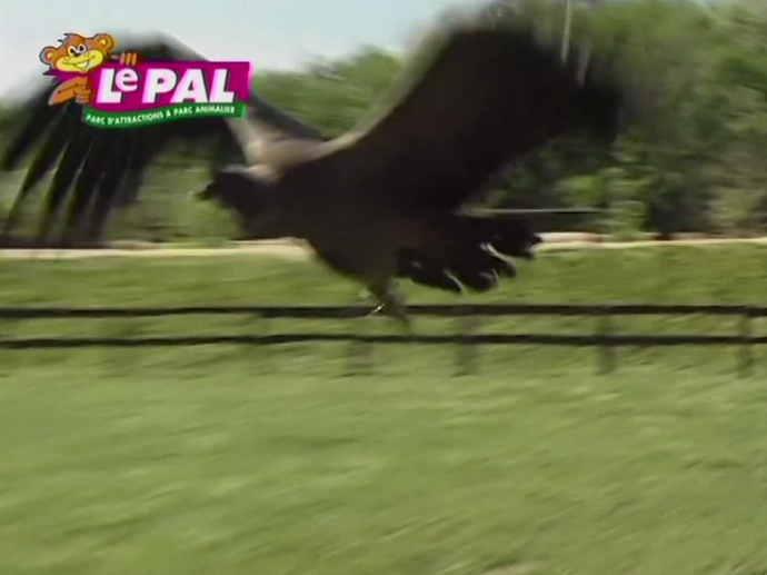 Le pal : Pal 2002 | INA