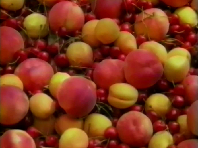 DANONE ET FRUITS : 16 POTS YAOURT AUX FRUITS | INA