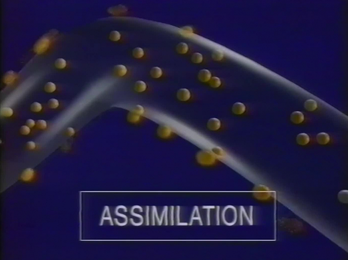 PAL PEDIGREE MENU COMPLET : ALIMENTATION CROQUETTE POUR CHIEN | INA