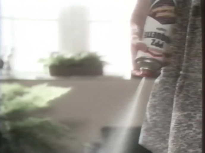 PPZ Moquette de SOLITAIRE : Nettoyant liquide ou en bombe | INA