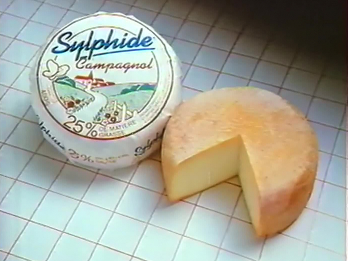 BEL SYLPHIDE CAMPAGNOL : FROMAGE ALLEGE PATE MOLLE | INA