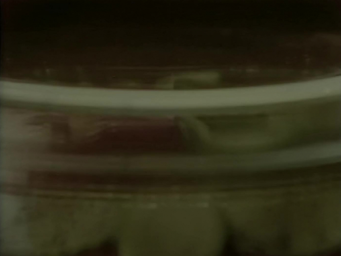 VISION DE CORNING : Cocotte | INA