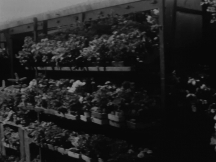 Printemps à Paris | INA