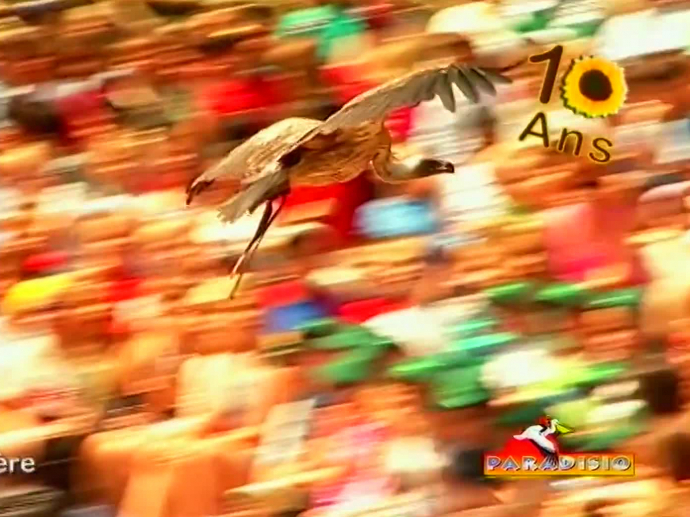 Parc paradisio version 2 | INA