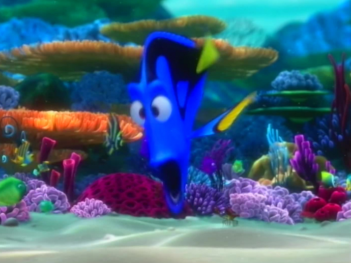 Le monde de Némo : Bonus 3 | INA