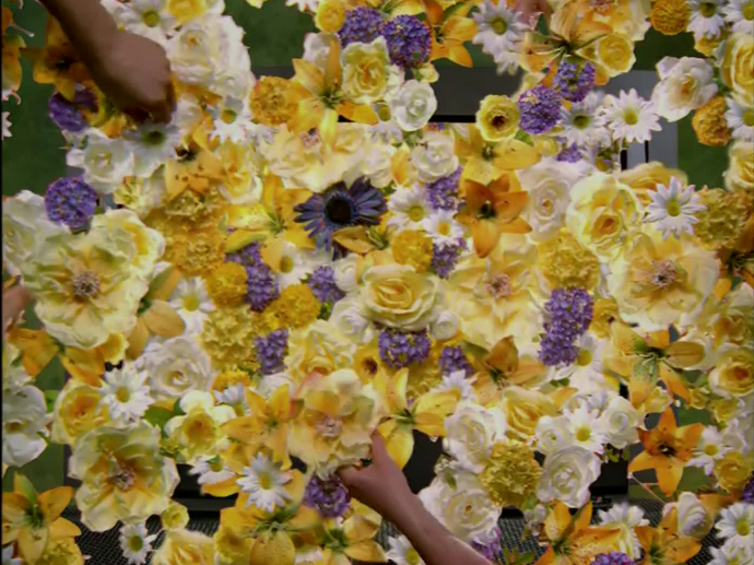 Match line 16/9è + : Fleurs | INA