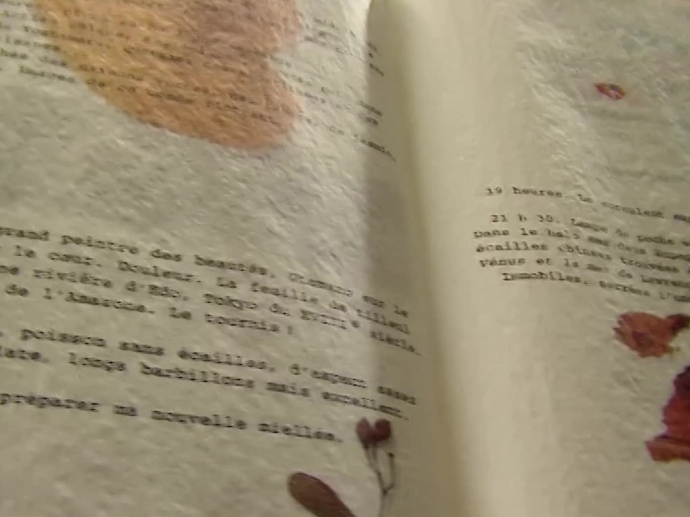 Frédéric Clément : museum | INA