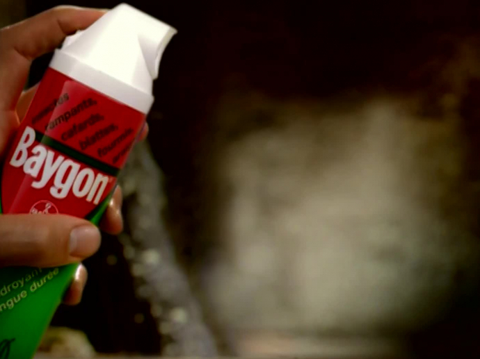 Baygon rampants | INA