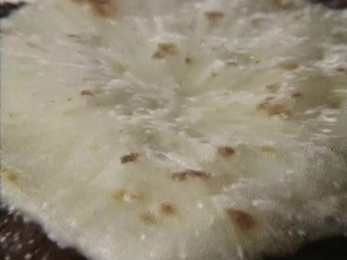 TOASTINETTE : FROMAGE EN LAMELLES | INA