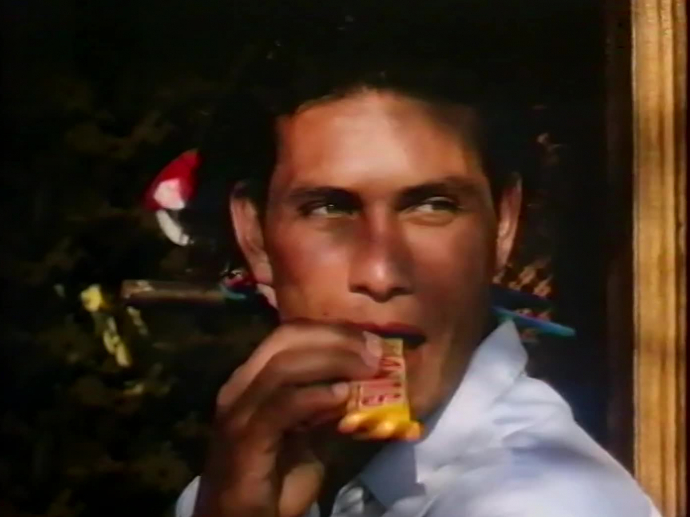 NESTLE SUNDY : BARRE CHOCOLAT | INA