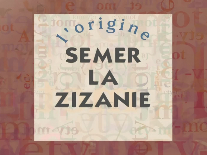 Pourquoi dit on : semer la zizanie | INA