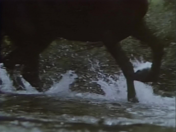 Verlande : Eau liberté | INA