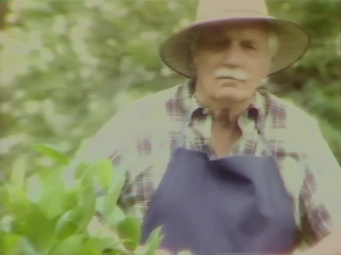 TANG : Boisson | INA