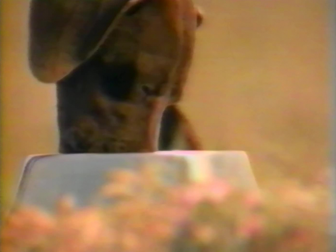 PAL PEDIGREE : ALIMENTS CHIENS | INA