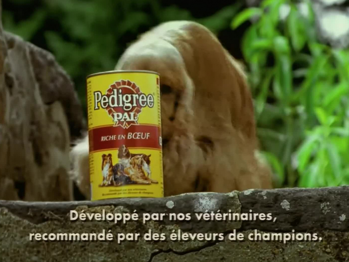 Pedigree pal : Mr renvoise tag | INA