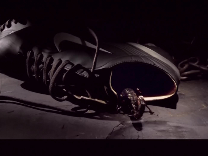 Nike : Scorpion inside shoe | INA