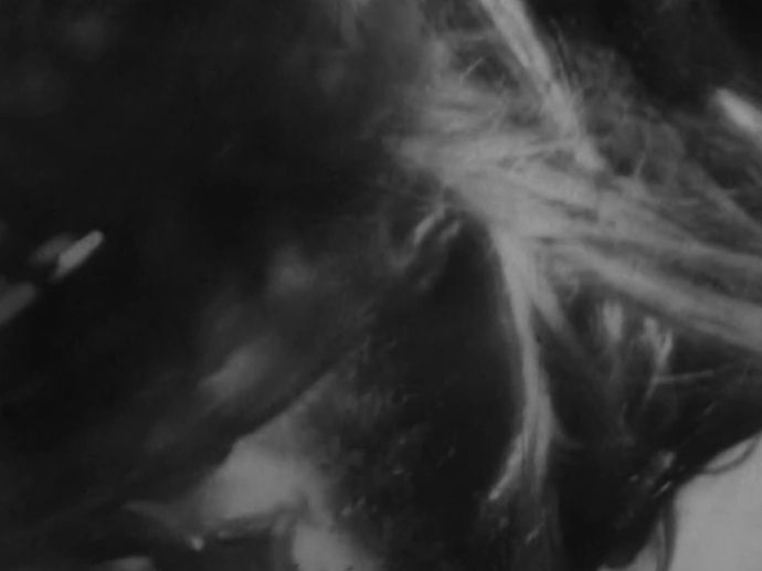 Le pouvoir des fleurs | INA