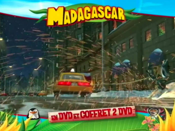 Madagascar : Teaser wild move it penguin | INA