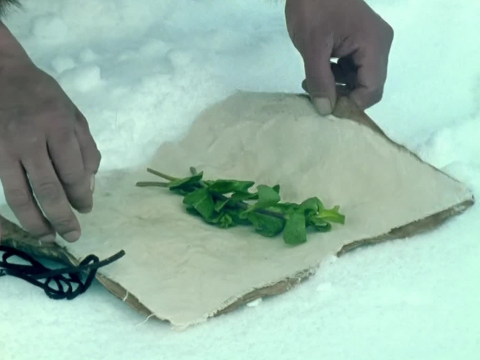 Tic tac icegloo : Sandwich | INA