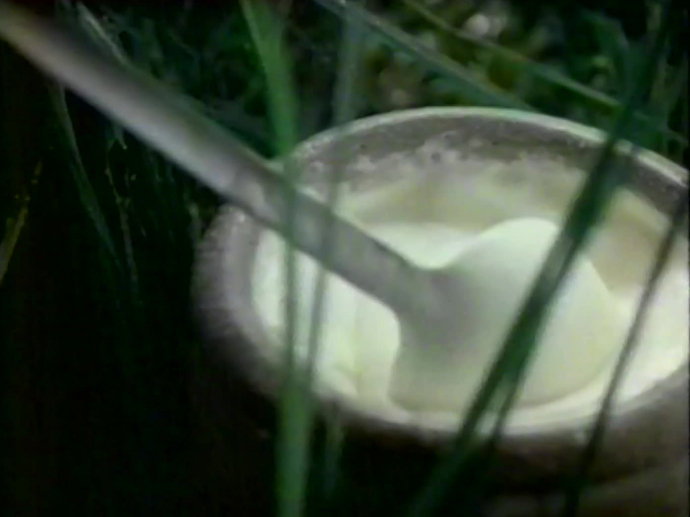 YOPLAIT CALIN : FROMAGE BLANC | INA